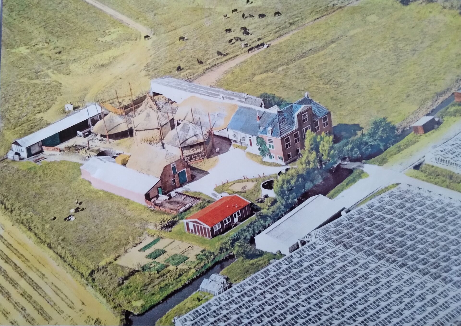 Toen en nu – Moestuinvereniging Hoeve Meerzicht